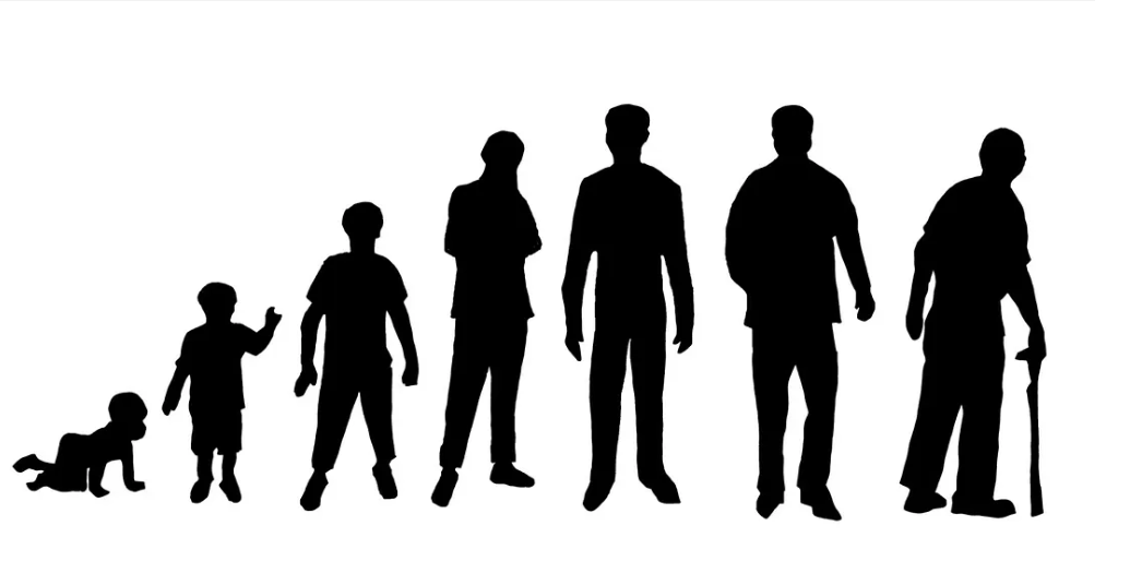 6 life stages - FAME Spark