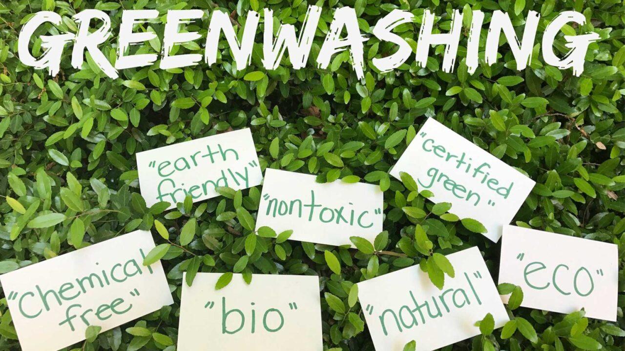10 Lessons About Greenwashing to Green Value Creation - FAME Spark